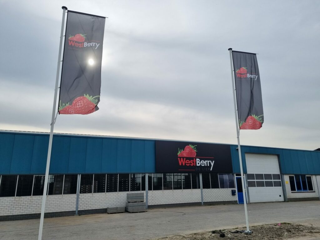 Hoogwaardige Vlaggen en Masten | Screen Promotion - Jouw Partner in ...